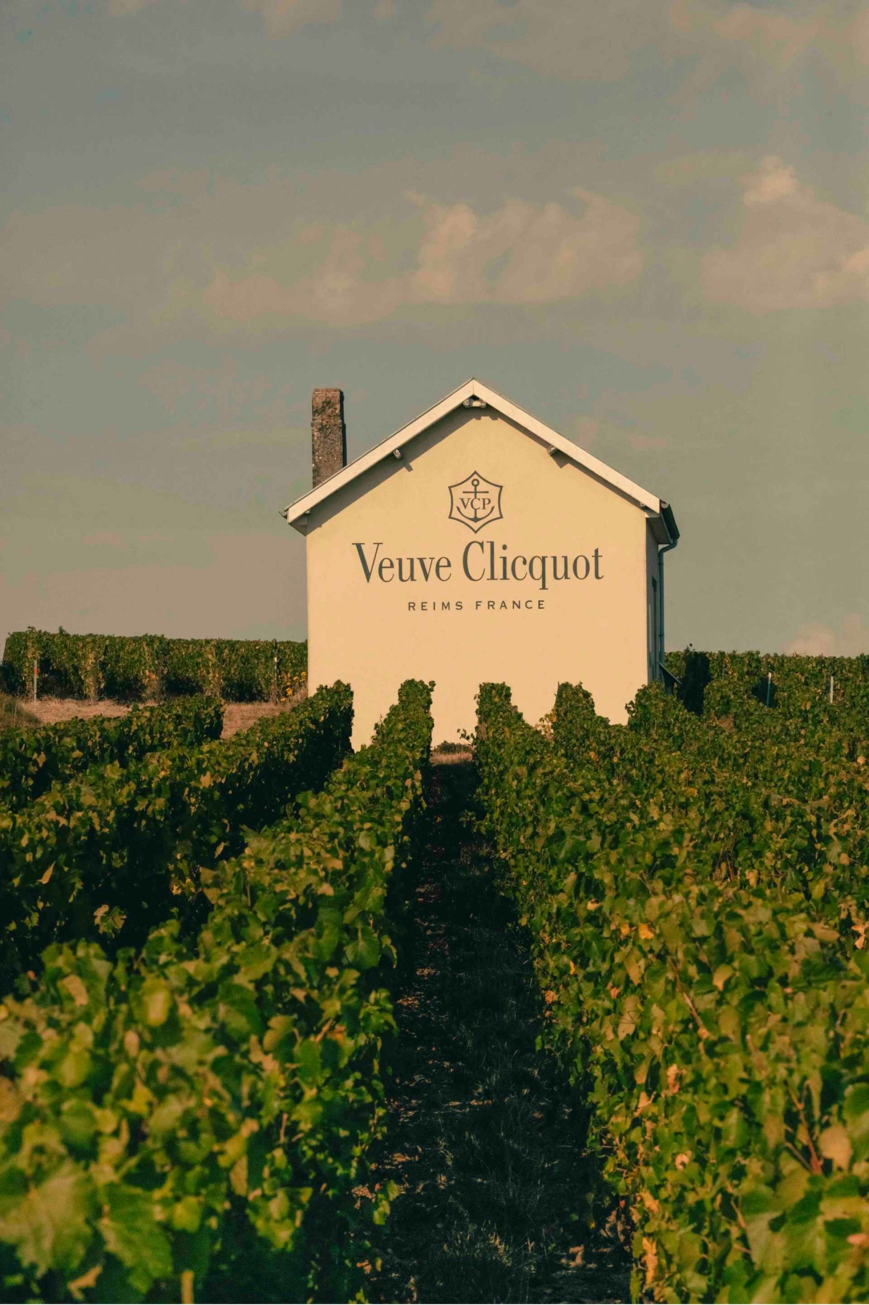 Veuve Clicquot | Uncorked | Daios Cove